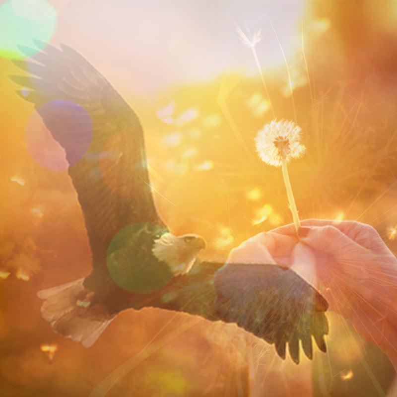 New Releases – Alywillow