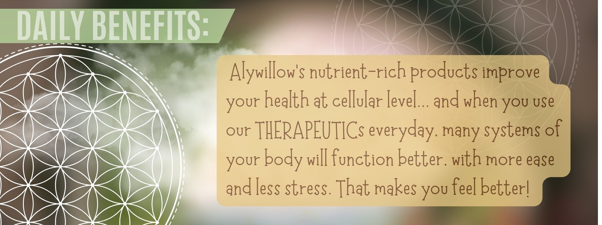 Alywillow Organics